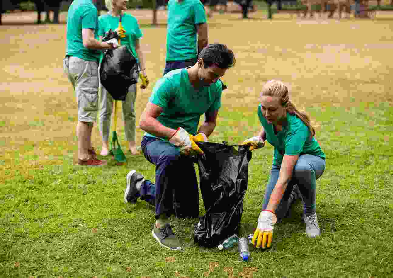 Forest Cleaning - Coopération multi-niveaux pour un développement ...